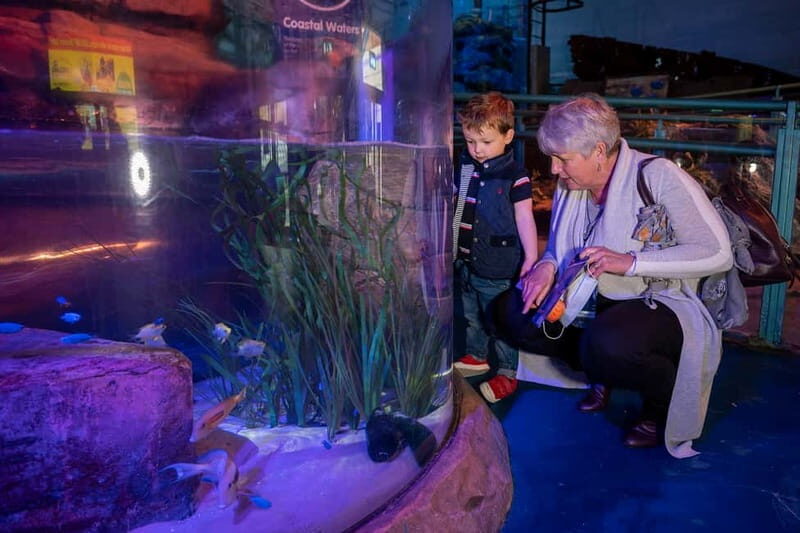 Birmingham: National Sea Life Centre Entrance Ticket - FAQ