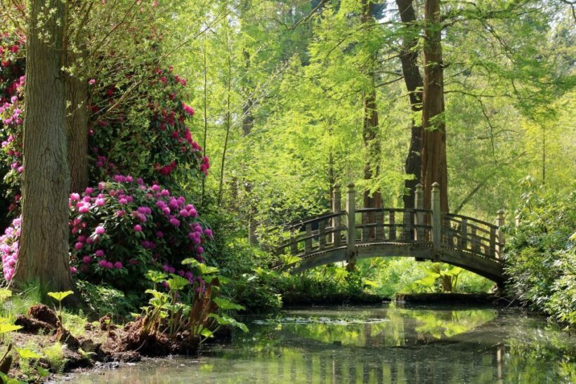 Birmingham: Winterbourne House and Garden Admission Ticket - Exploring Winterbourne House and Gardens: What to Expect