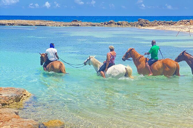 Birthday Celebration Experience in Jamaica + Transportation - Considerations and Practical Tips