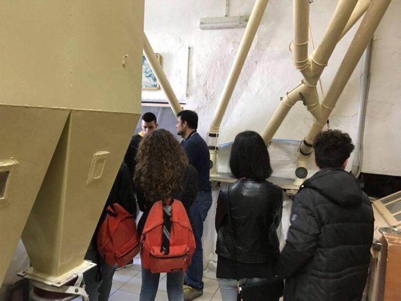 Bisacquino: Grandpa Mommo's Mill Tour - Why This Tour Offers Real Value