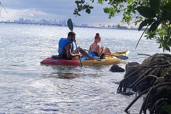 Biscayne Bay Island and Nature Exploration - An Overview of the Experience