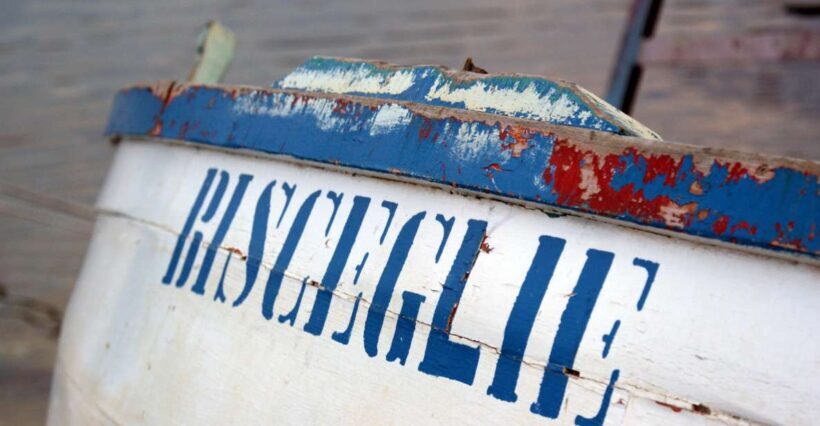 BISCEGLIE private tour: a nice town on the Adriatic sea - Who will enjoy this tour most?