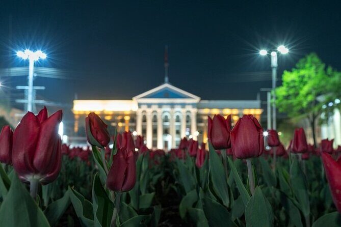 Bishkek Nightlife : How Metropolis Lives & Crafted Drinks in Bars - Key Points