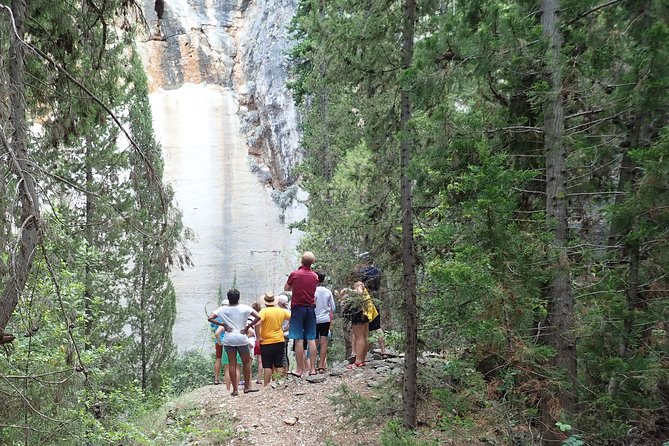 Bits of History - Half Day Kayak Tour With Wine Delight - Guest Experiences: What Travelers Are Saying