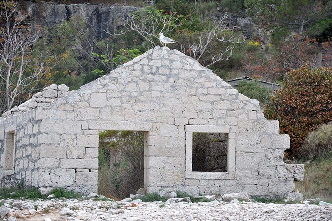 Bits of History - Half Day Kayak Tour With Wine Delight - Preparing for Your Kayaking Tour: Tips and Requirements