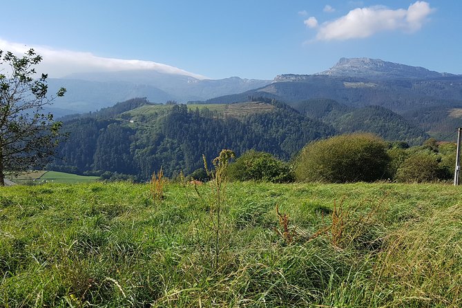 Bizkaia, Duranguesado Route. Beautiful Villages and Mountain Landscapes. - Uncovering the Necropolis of Argineta