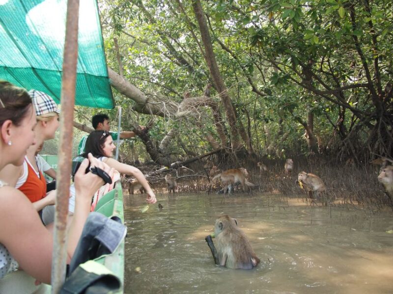 BKK :Meet monkey, mangrove forest, seafood& market -private - Practical Tips for Travelers