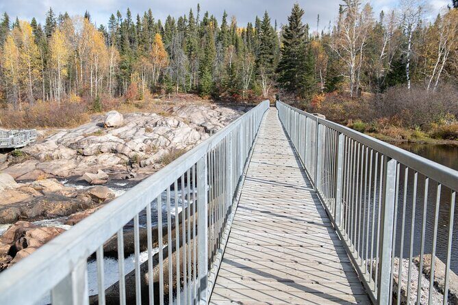 Black Bear viewing and walking at oudoor ctr's Canyon - When Is This Tour Best?