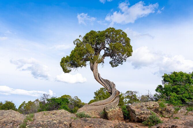 Black Canyon of the Gunnison Self-Guided Audio Driving Tour - Practical Details & Tips
