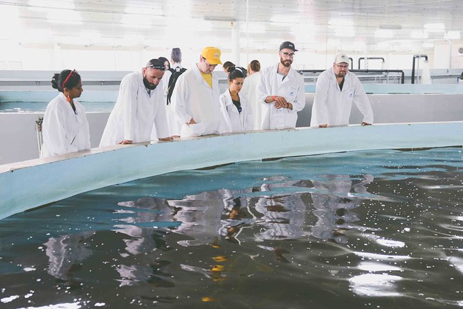 Black Caviar and Sparkling Wine Tour - FAQs