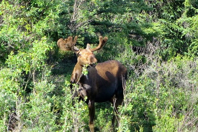 Black Diamond Treasure Hunt Excursion With Backcountry Dining - Thrilling Treasure Hunt