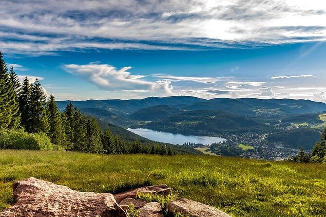 Black Forest and Rhine Falls Day Trip From Zurich - Discovering the Rhine Falls