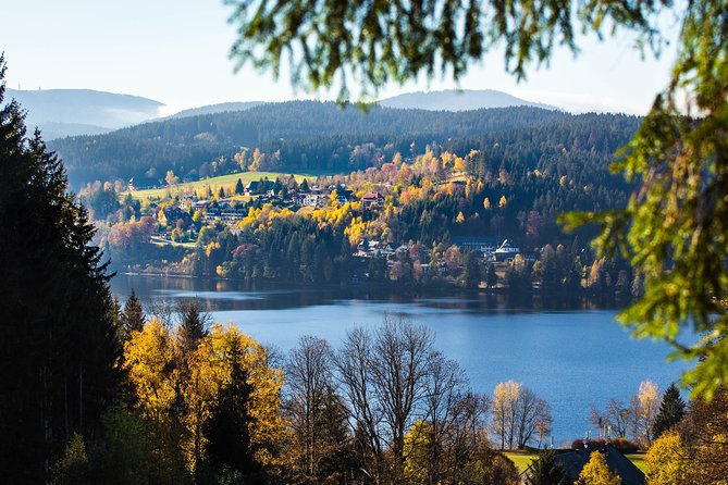 Black Forest and Rhine Falls Day Trip From Zurich - Inclusions and Additional Information
