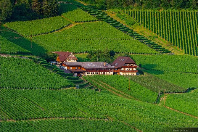 Black Forest. From Baden-Baden to Strasbourg. Two Countries in One Day - Transportation and Amenities