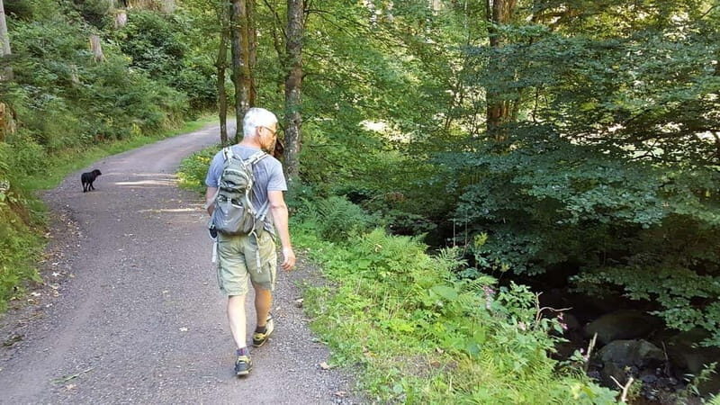 Black Forest: Ravenna Gorge Hike, Self-Guided - The Black Forest Ravenna Gorge Hike: What You Can Expect