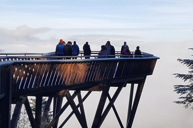 Black Forest Tour by car: Baden-Baden to Freiburg or vice versa - Time in Triberg Town and Glimpses of the Region