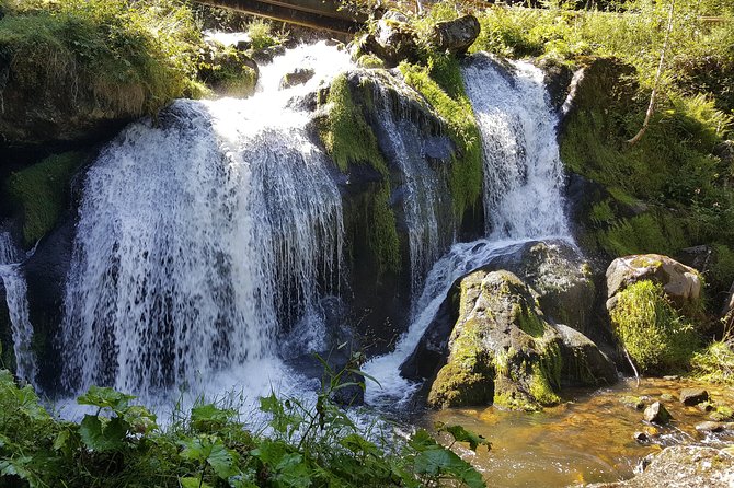 Black Forest Tour by Car - Quick Tour From Freiburg - Additional Information