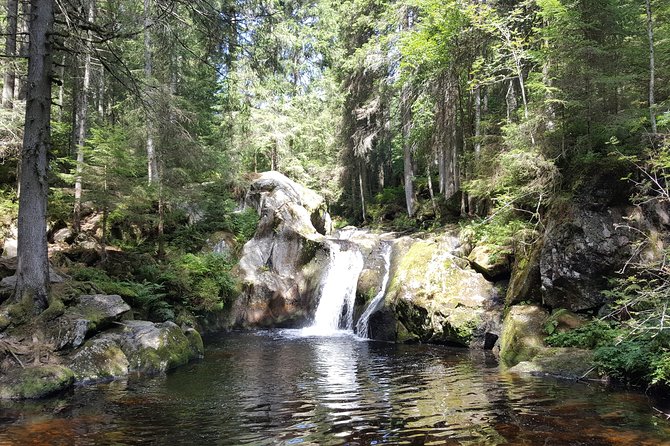 Black Forest Tour by Car - Quick Tour From Freiburg - Highlights of the Black Forest Tour