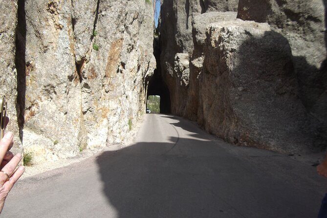 Black Hills Custom Private Day Tour - Cost and Value