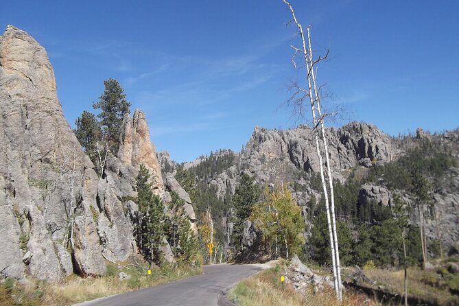 Black Hills Custom Private Day Tour - Who Should Consider This Tour?