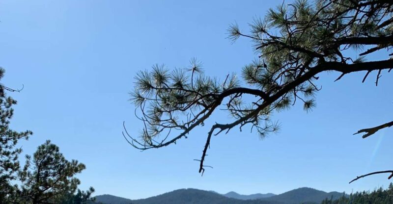 Black Hills: Private Tour of Mt. Rushmore & Flume Trail Hike - Authentic Experiences and Real-World Insights