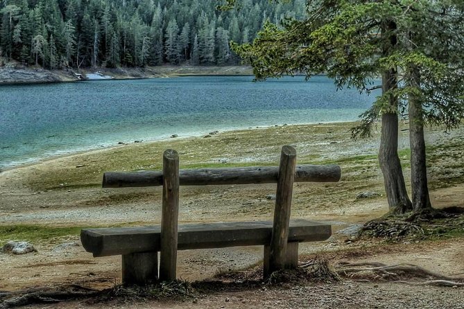 Black Lake and Djurdjevica Tara Bridge (Private tour) - Practical Details and Value