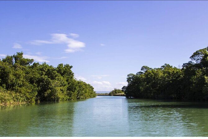 Black River Safari and Floyd Pelican Bar Tour from Montego Bay - Detailed Review of the Black River Safari and Floyd Pelican Bar Tour