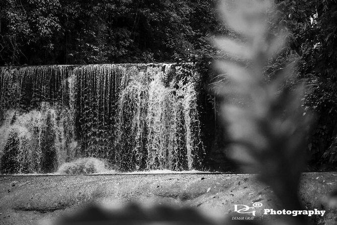 Black River Safari and YS Water Falls - Authentic Experiences and Traveler Insights