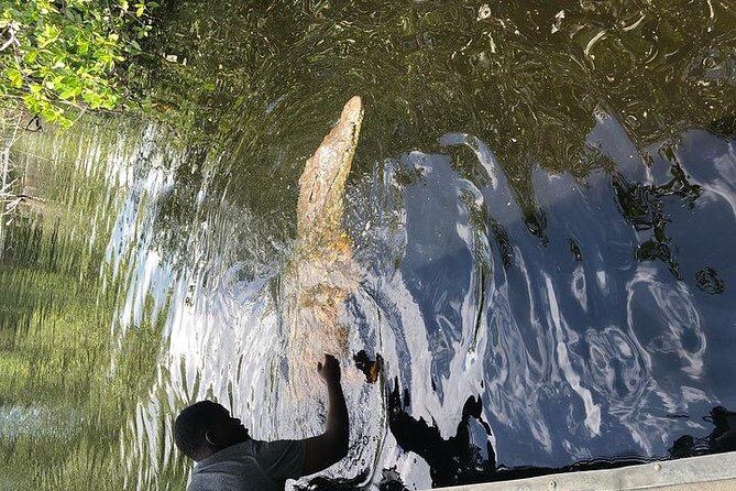 Black River Safari and YS Water Falls - FAQ