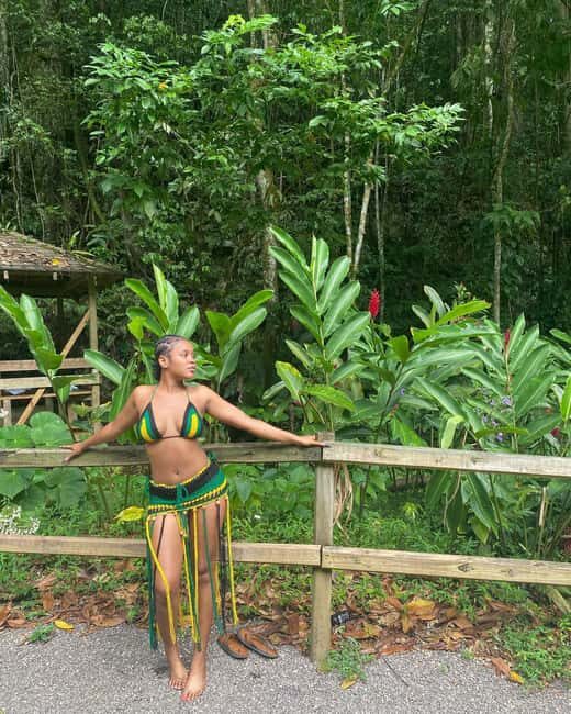 Black River Safari, Ys Falls and Appleton Estate Rum Tour - Summary