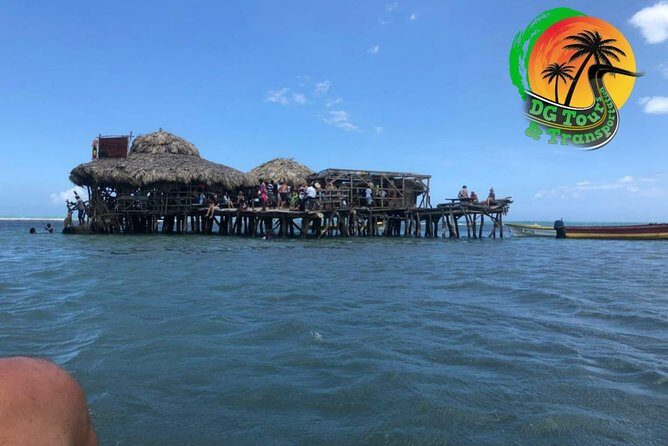 Black River Safari, YS Falls and Floyd's Pelican Bar - An In-Depth Look at the Tour Experience