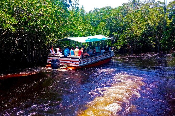Black River Safari * YS Falls * Appleton Rum Tour - Key Points