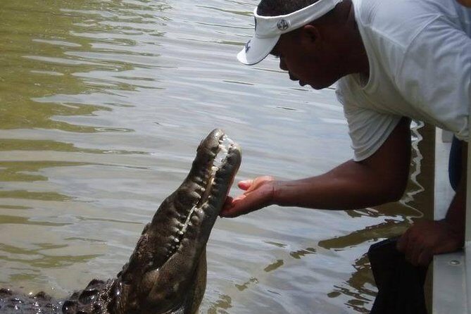 Black River Safari * YS Falls * Appleton Rum Tour - Final Thoughts