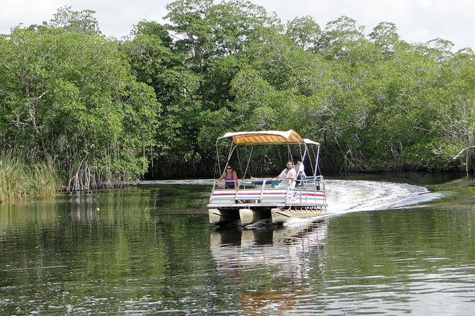 Black River Safari/YS Falls plus Floyd's Pelican Bar Private Tour - Who Should Consider This Tour?