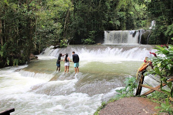 Black River Safari/YS Falls plus Floyd's Pelican Bar Private Tour - The Sum Up