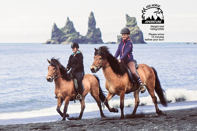 Black Sand Beach Horse Riding Tour from Vik - Authentic Experiences Based on Reviews