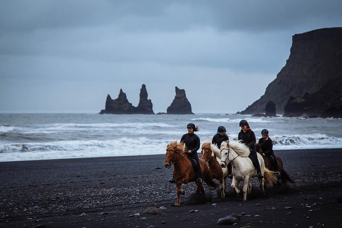 Black Sand Beach Horse Riding Tour from Vik - The Sum Up
