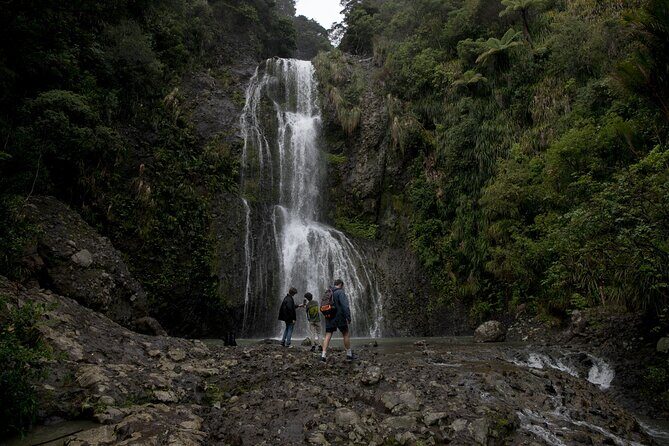 BLACK SAND PIHA BEACH, Maori Arts, Water Falls West Auckland Tour - An In-Depth Look at the Itinerary