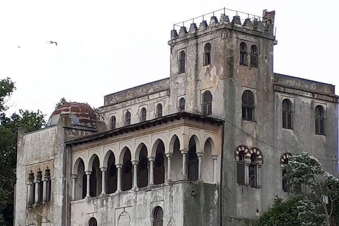Black Sea and Constanța City - From Bucharest - Enjoying the Black Sea and Local Cuisine