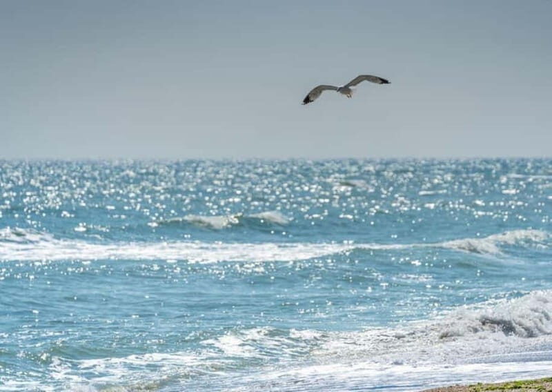 Black Sea Private Tour, Day Trip to Constanta from Bucharest - Key Highlights of the Tour