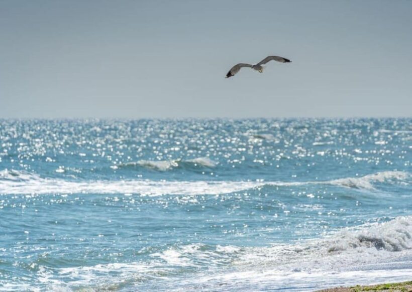 Black Sea Private Tour, Day Trip to Constanta from Bucharest - FAQ