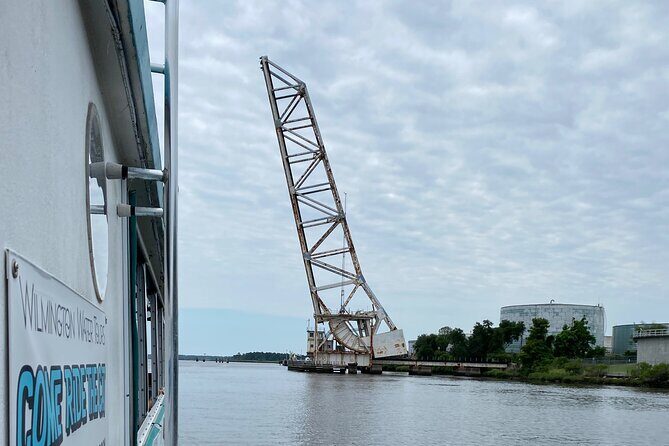 Black Water Adventure Cruise - The Reviews: Authentic Perspectives