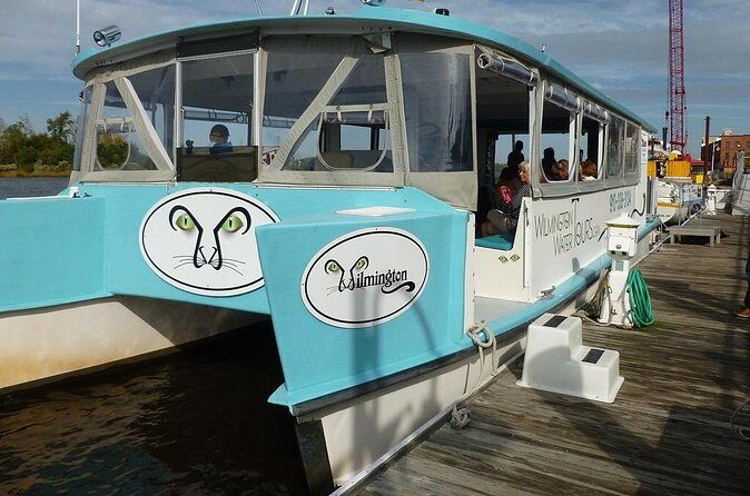 Black Water Adventure Cruise - The Sum Up