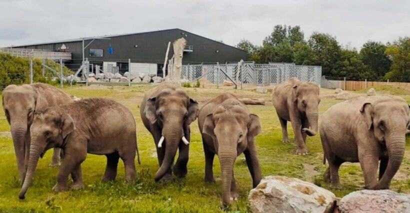 Blackpool: Zoo Admission Ticket - Practical Details and Tips for Visitors