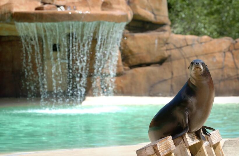 Blackpool: Zoo Admission Ticket - Authentic Visitor Perspectives