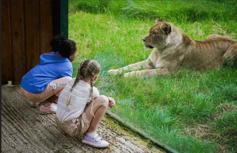 Blackpool: Zoo Admission Ticket - The Sum Up