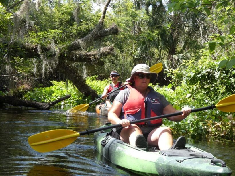 Blackwater Creek: Exclusive Nature Escape Kayak Adventure - An In-Depth Look at the Blackwater Creek Kayak Adventure