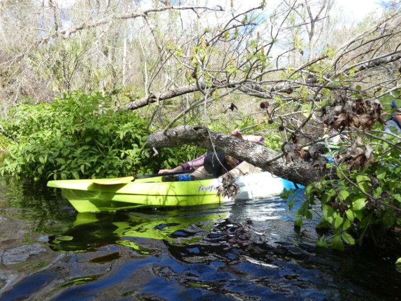 Blackwater Creek: Exclusive Nature Escape Kayak Adventure - What’s Included and What to Bring