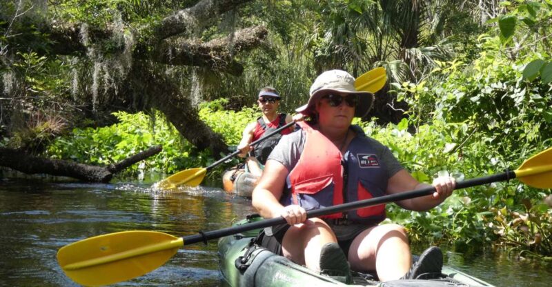 Blackwater Creek: Exclusive Nature Escape Kayak Adventure - The Itinerary in Detail