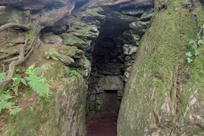 Blarney Castle Cork City and Jameson Distillery Semi Private Tour - Customer Reviews and Feedback